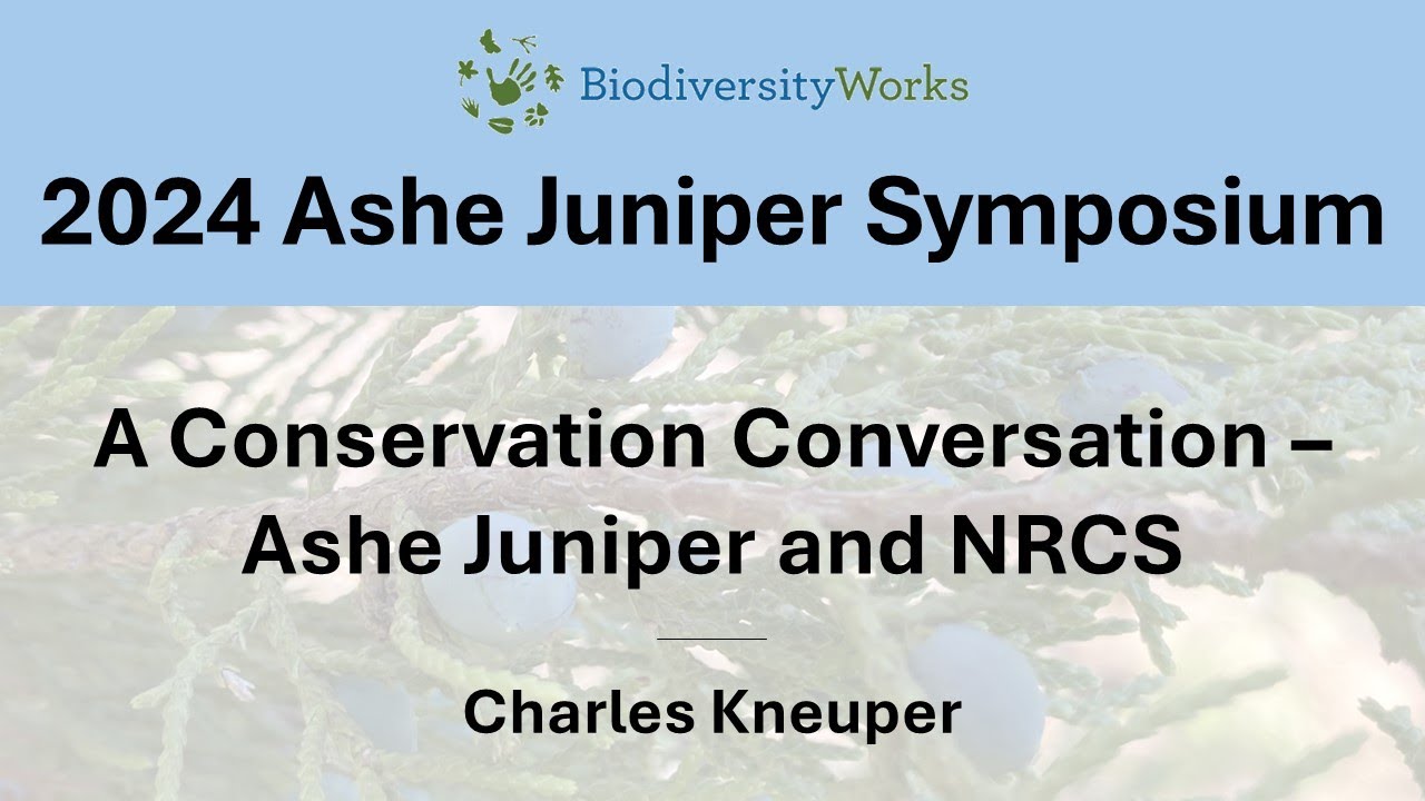 19. A Conservation Conversation – Ashe Juniper and NRCS - YouTube