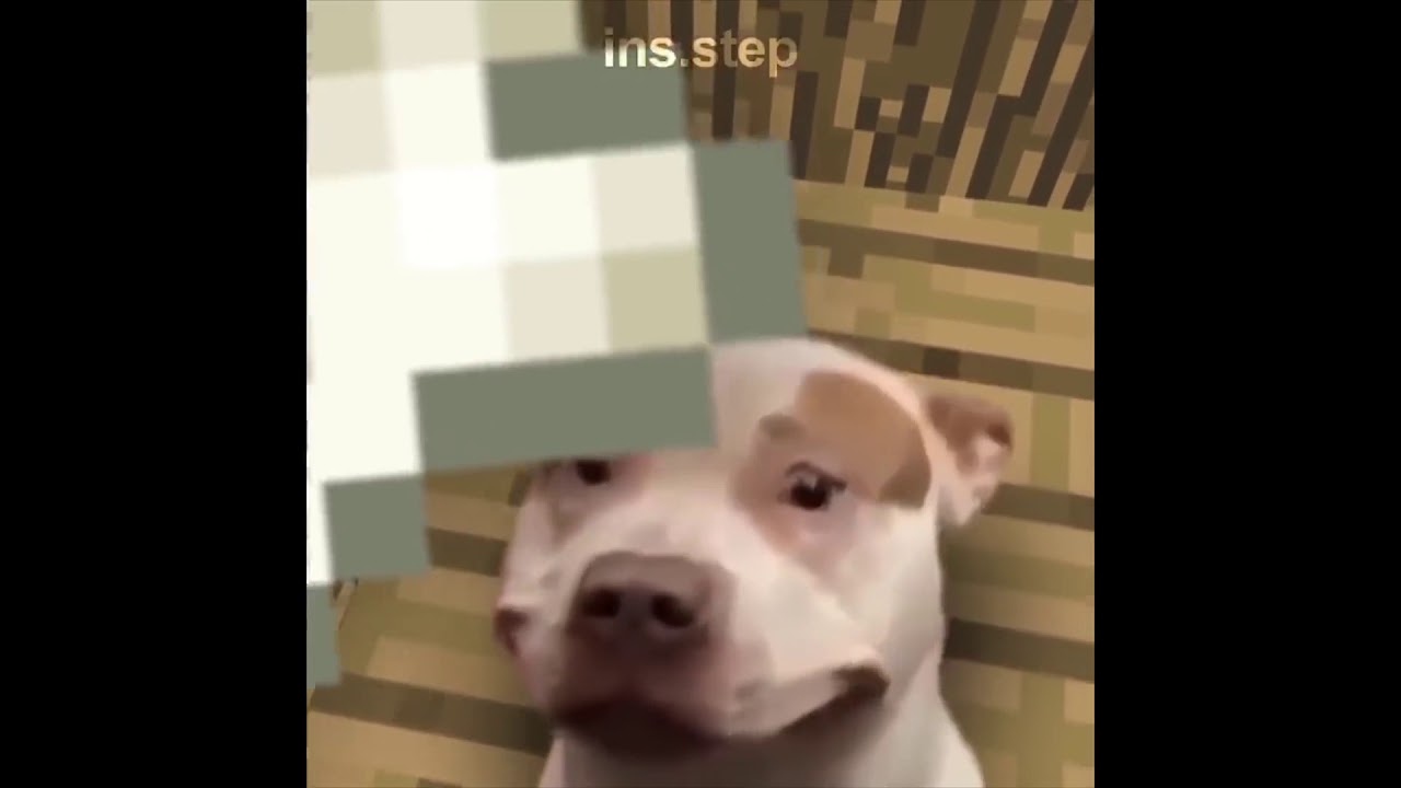 funniest clips ever😂😂😱 memes compilation - YouTube