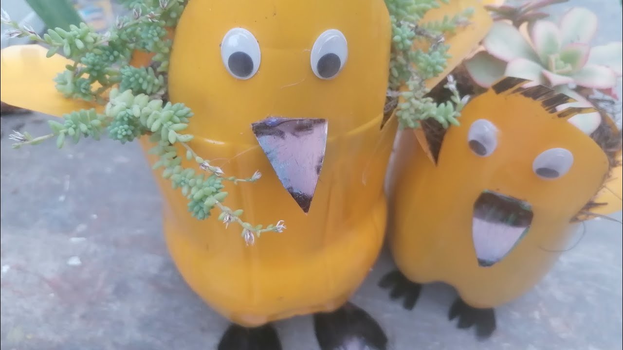 #RETO# POLLITOS CON BOTELLAS DE PLÁSTICO 🥰🥰🥰🥰 - YouTube
