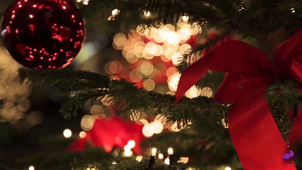 Kream Hook - Xmas Acapella (Official Video) - YouTube