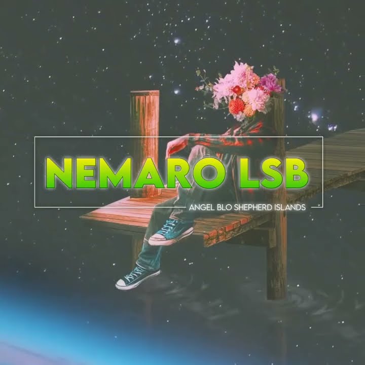 Nemaro Lsb on Top 🔥🍺🥀🇻🇺 #stringband #music - YouTube