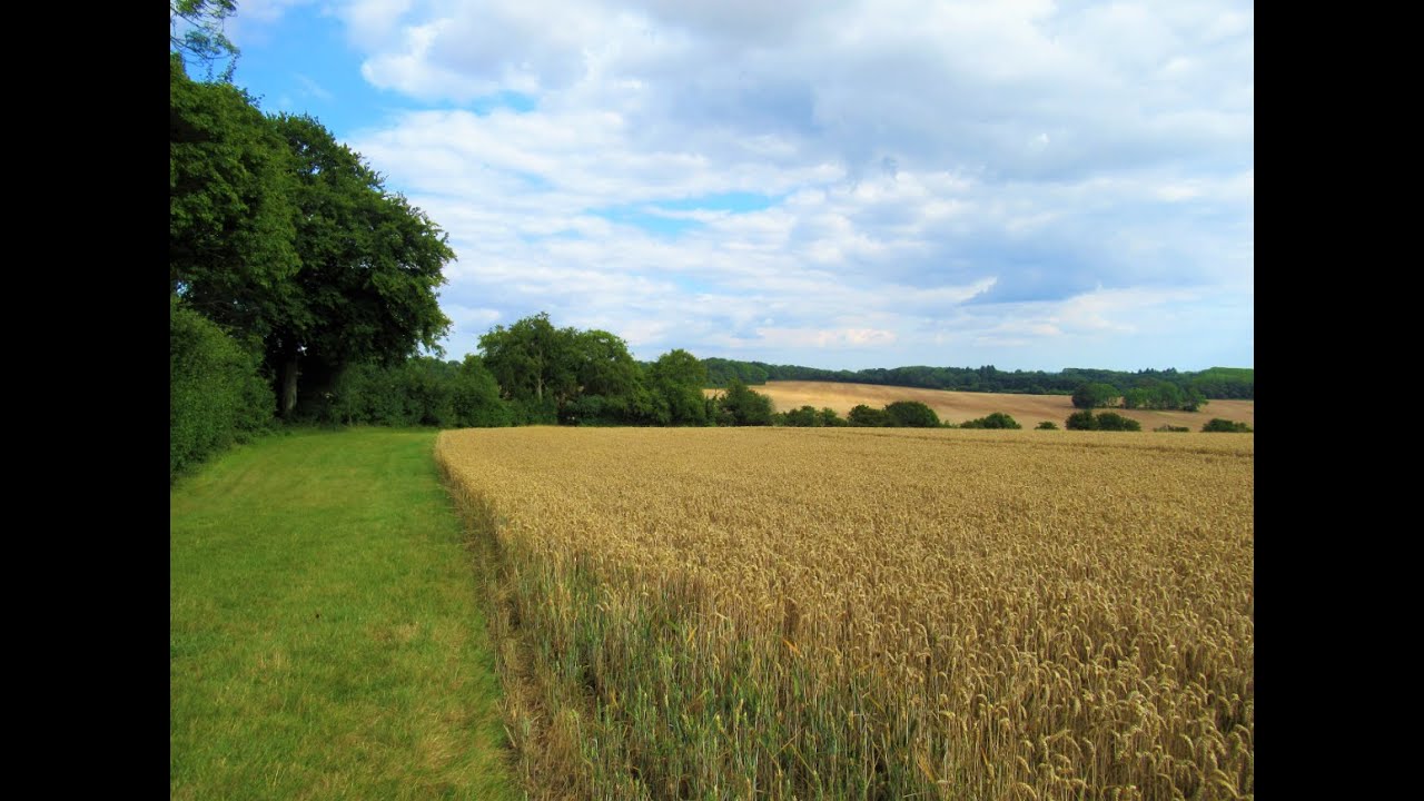 Alternative entrance to Ten Acre Field from Worzel Gummidge - YouTube