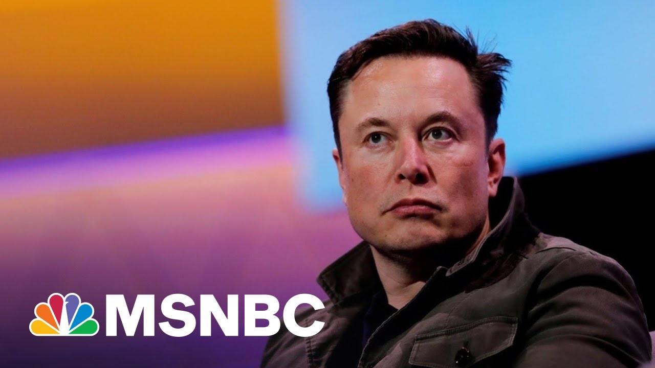 Is Elon Musk Helping The Planet More Than Greenpeace? MSNBC Reports On ...