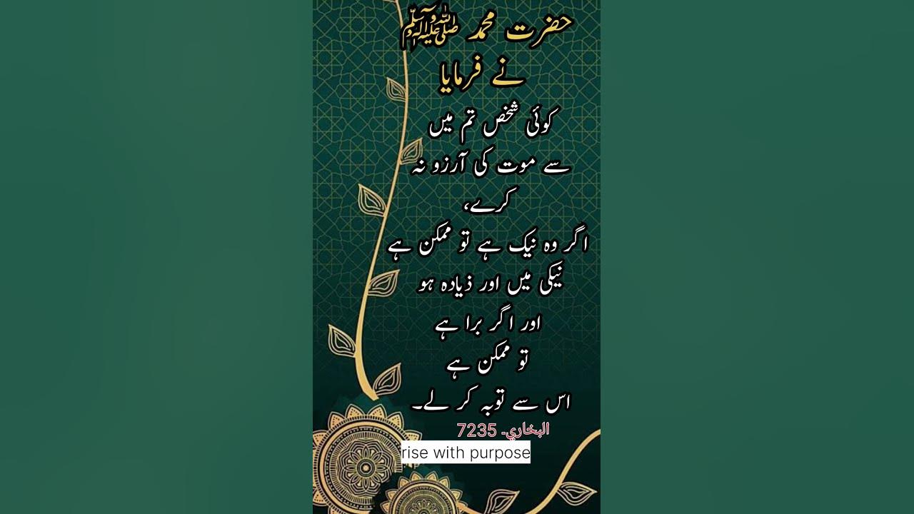 #islam #allah #trending #shorts #islamicshorts #quotes #shortsfeed # ...