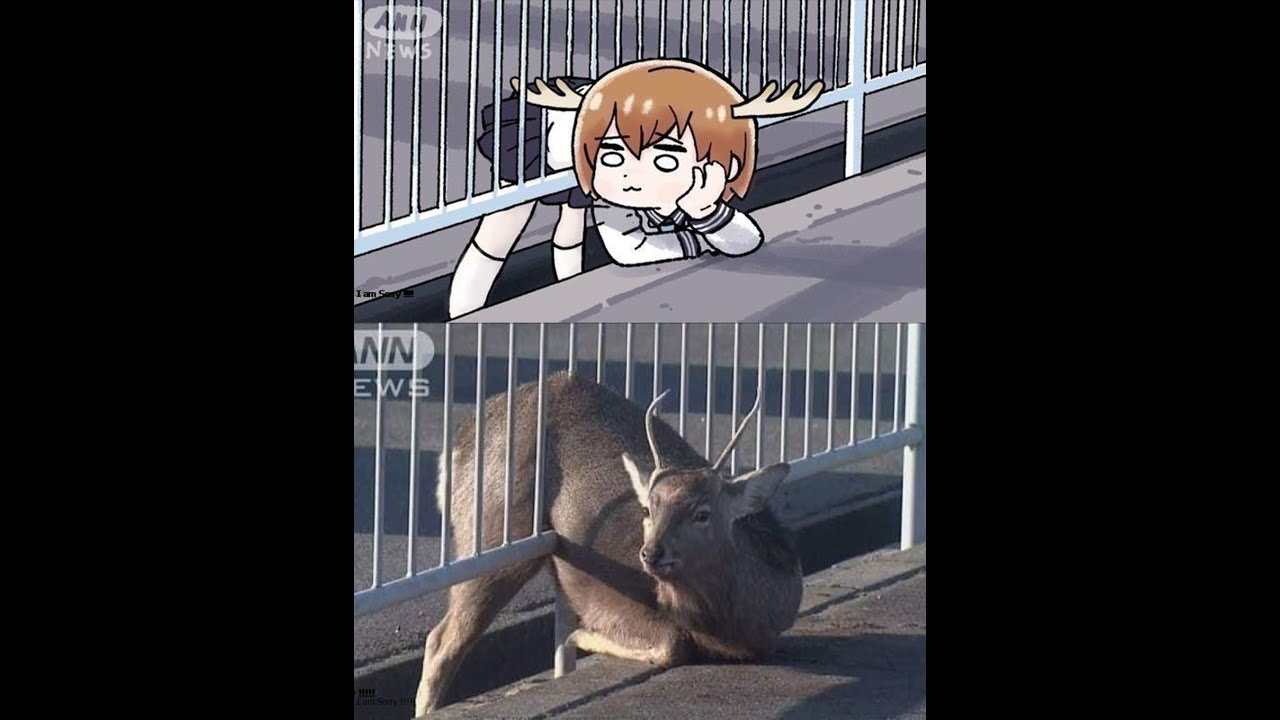 Compilado de memes e shitposts #15 - YouTube