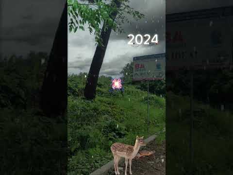 Beautiful azan by Qari obaidulla #azan #trending #viral #shorts subscribe