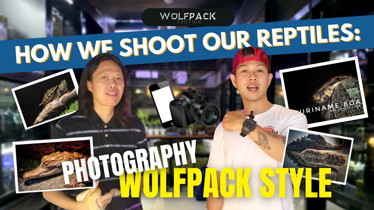 HOW WE SHOOT OUR REPTILES: PHOTOGRAPHY WOLFPACK STYLE | Wolfpack Exotics - YouTube