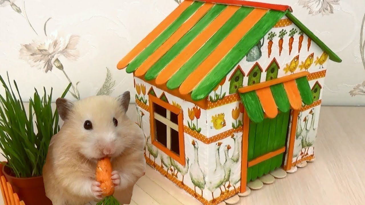 How to Make Village House for Hamster - Popsicle Sticks & Cardboard ...