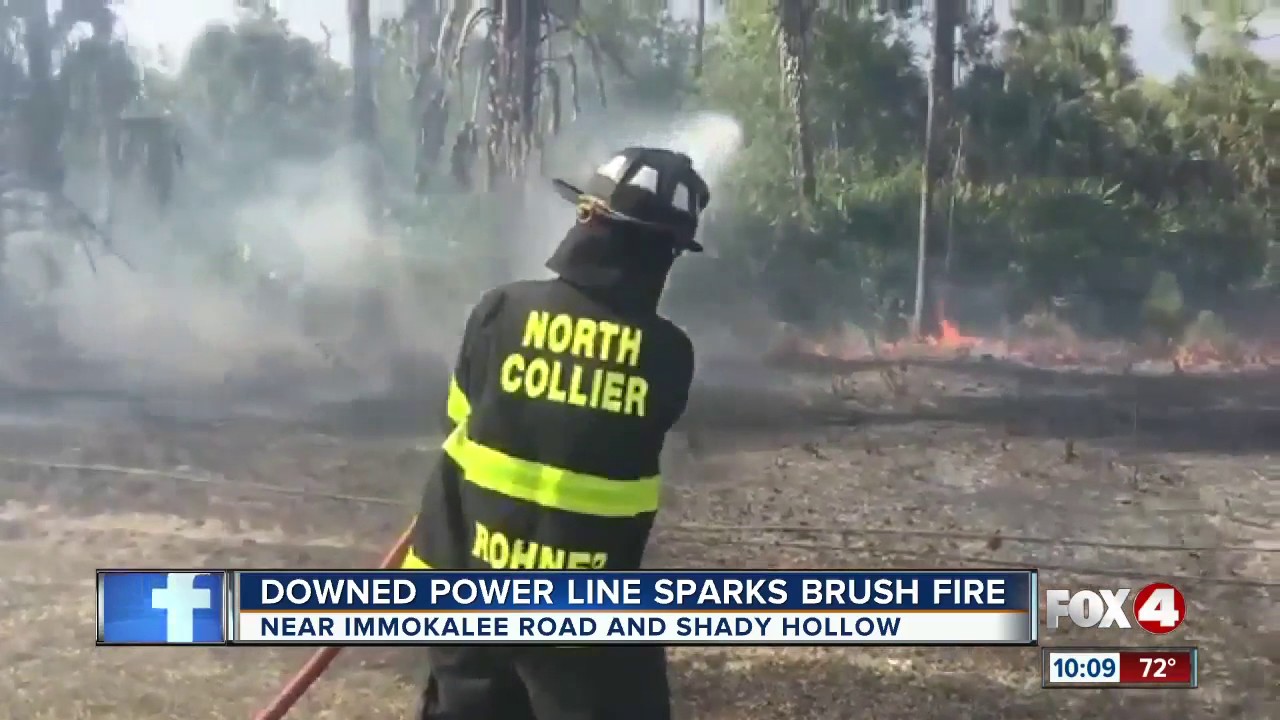 Power line sparks brush fire in Collier County - YouTube