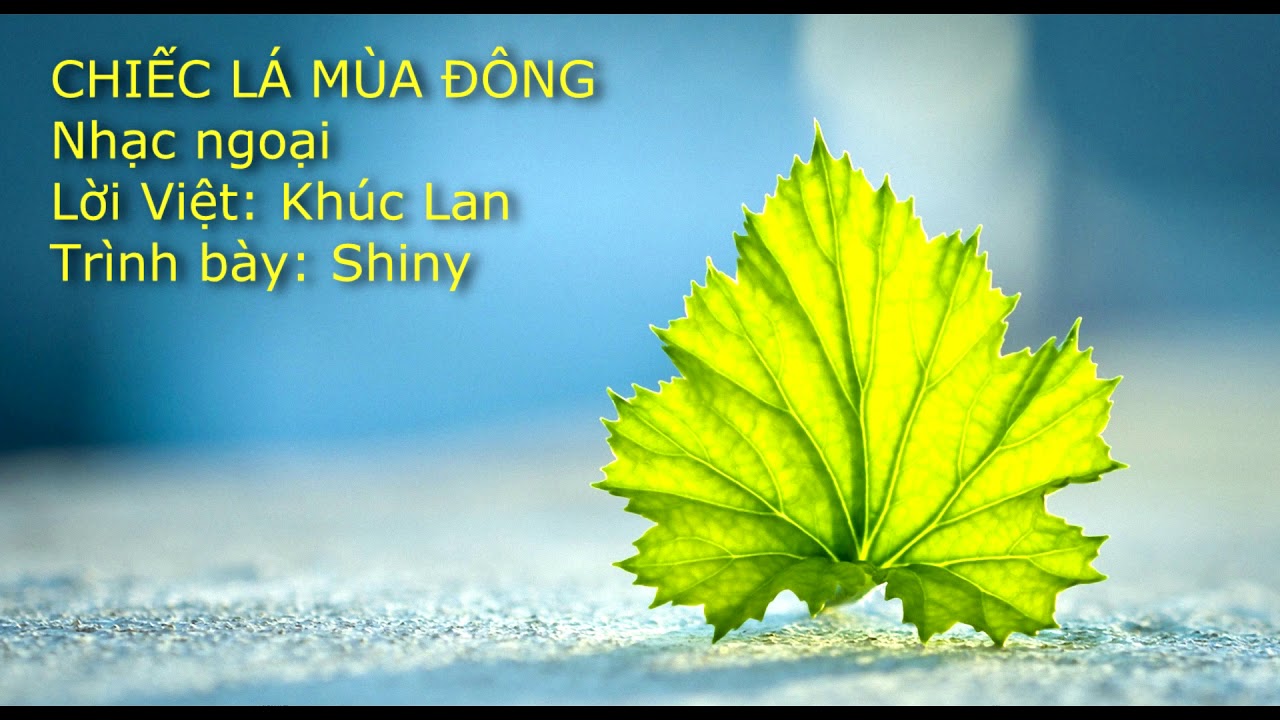 NHẠC NGOẠI - CHIẾC LÁ MÙA ĐÔNG - SHINY - YouTube Music