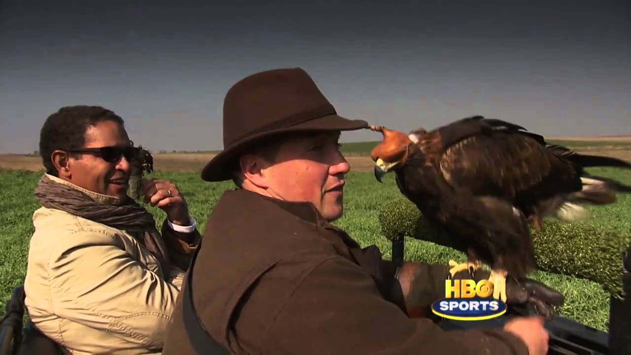 Real Sports With Bryant Gumbel: Falconry (HBO) - YouTube