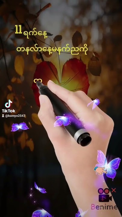 11 3 2024 တနလ်ာနေ့ အတွက်ဈေးဖိုး Youtube