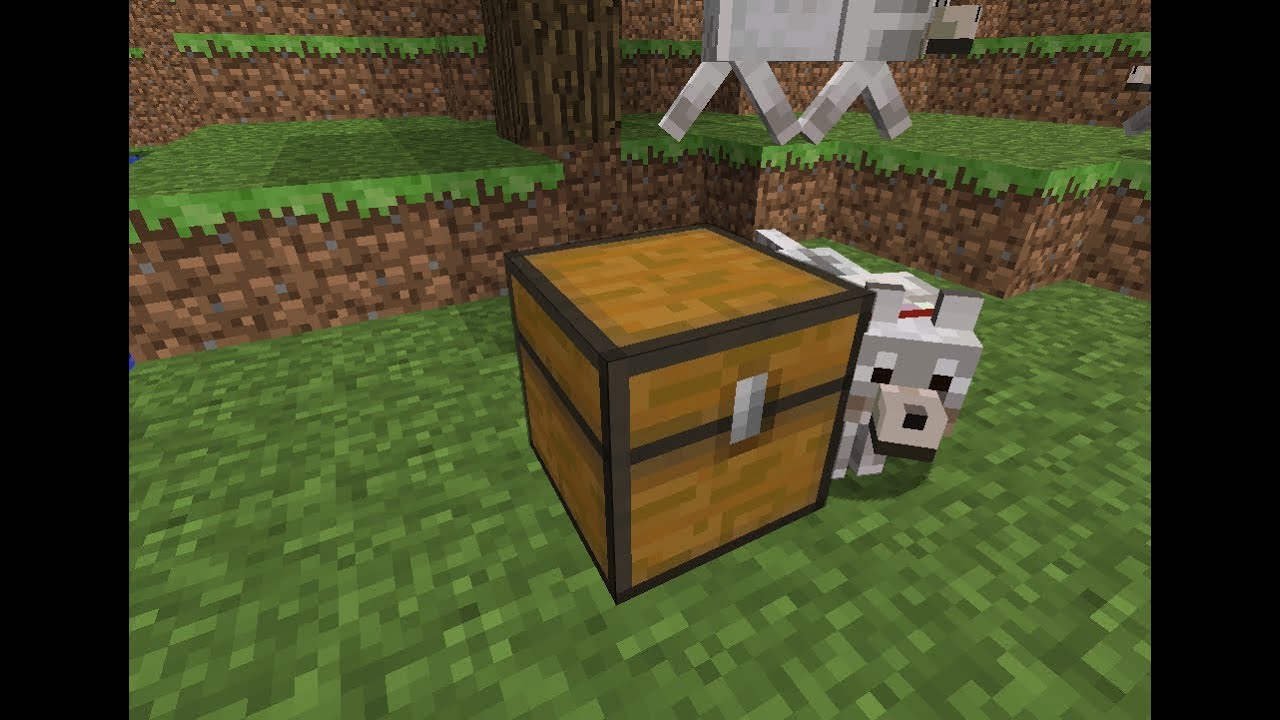 Minecraft Ruins of the dead: Dogs in chest - YouTube