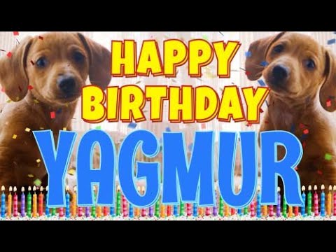 Happy Birthday Yagmur! ( Funny Talking Dogs ) What Is Free On My Birthday