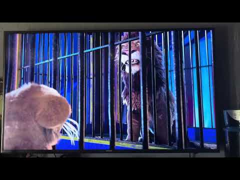Samson's Throwback Story as young Lion Cub in the Circus from Disney's The Wild 2006.