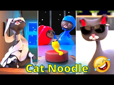 Cat Noodle and Bun. Cat Noodle TikTok Compilation
