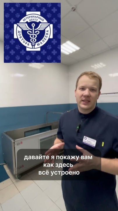 Водная беговая дорожка для животных - YouTube