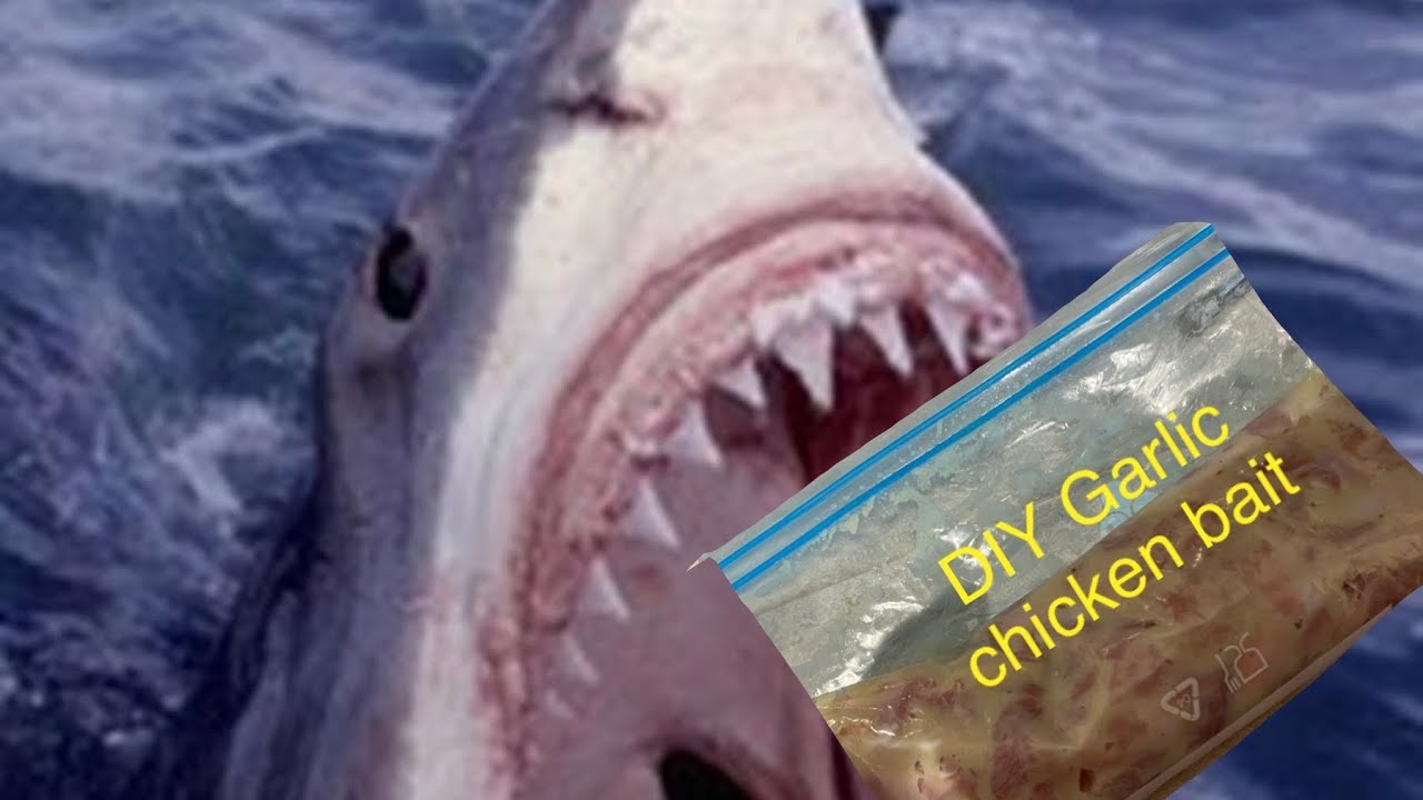 "DIY Garlic Chicken Bait for Sea Fishing: Catch More Fish!" - YouTube