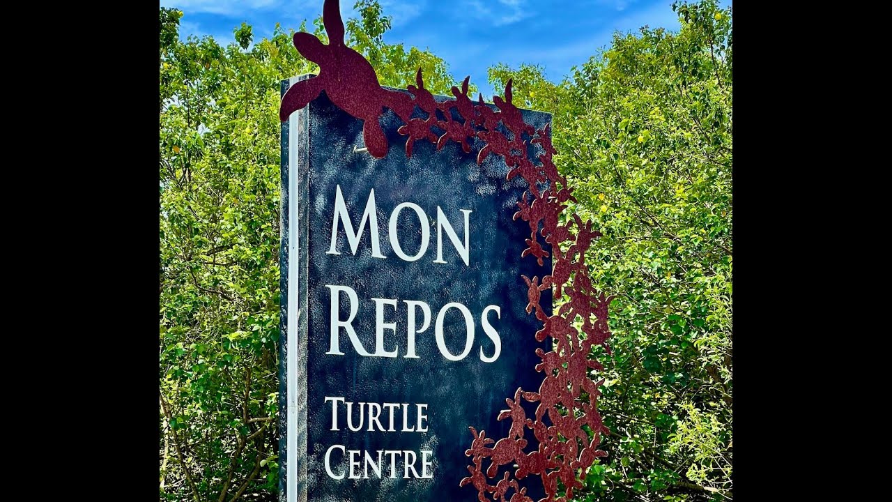 Tiny On Tour E34 - Turtle Sands Mon Repos Beach - YouTube