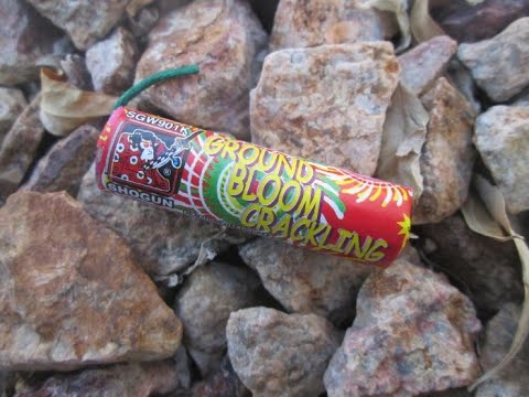Shogun Fireworks - Ground Bloom Crackling ground spinner novelty ...