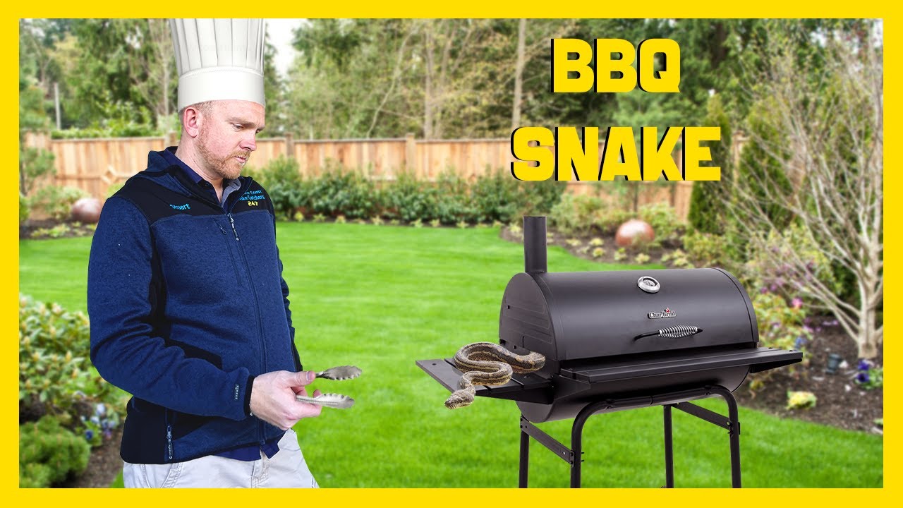 Finding a cheeky snake inside a BBQ!! - YouTube