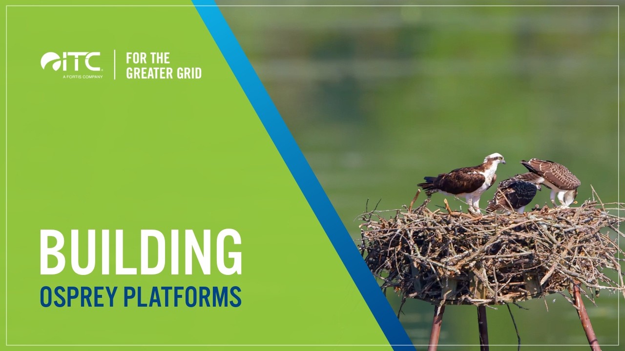 Power Poles Recycled into Osprey Nest Platforms - YouTube