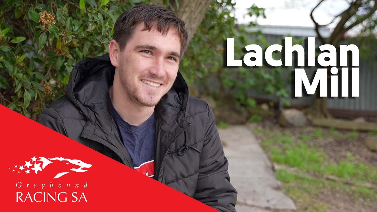 We Love Our Dogs - Lachlan Mill - YouTube