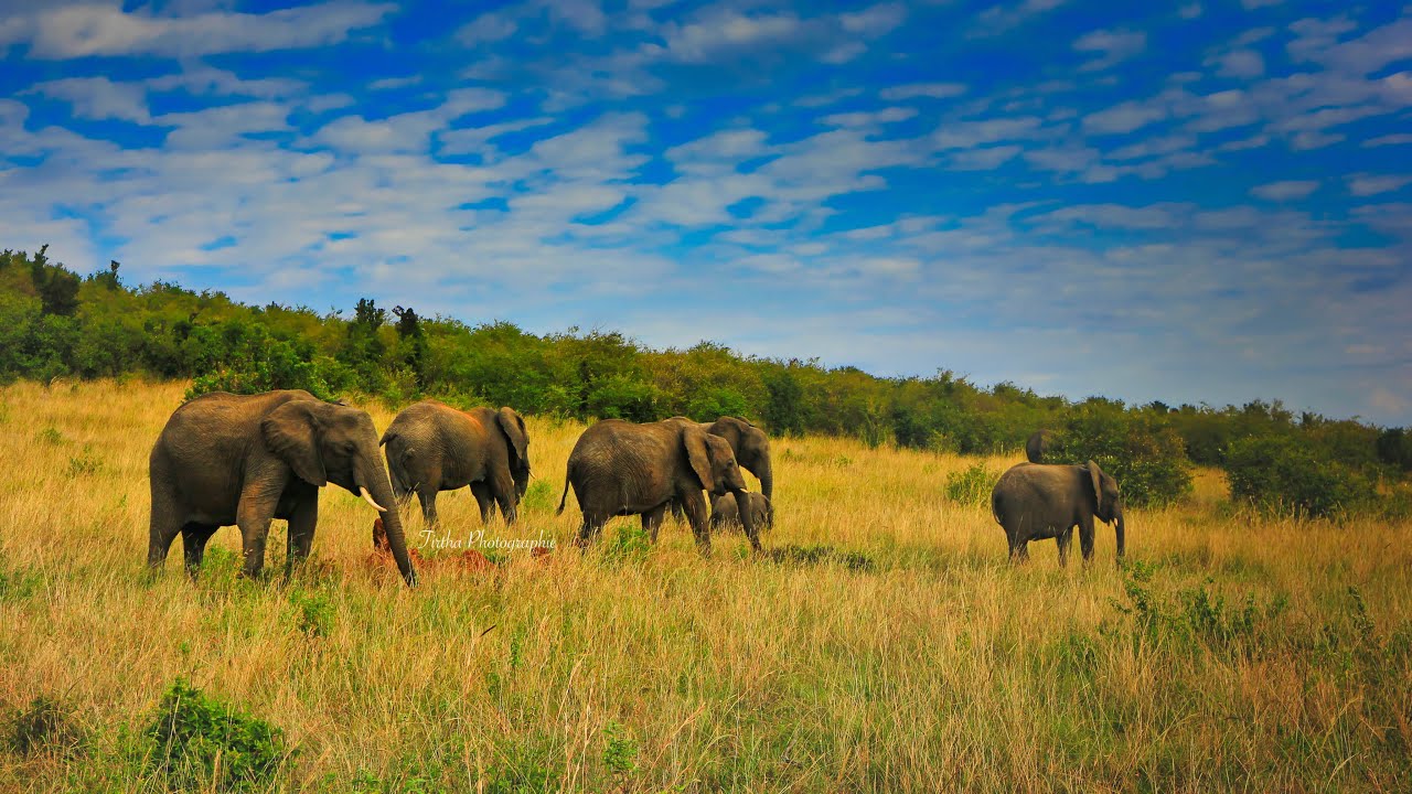 A Trip to Kenya | African Safari | 5 Breathtaking Natural Landscapes of ...