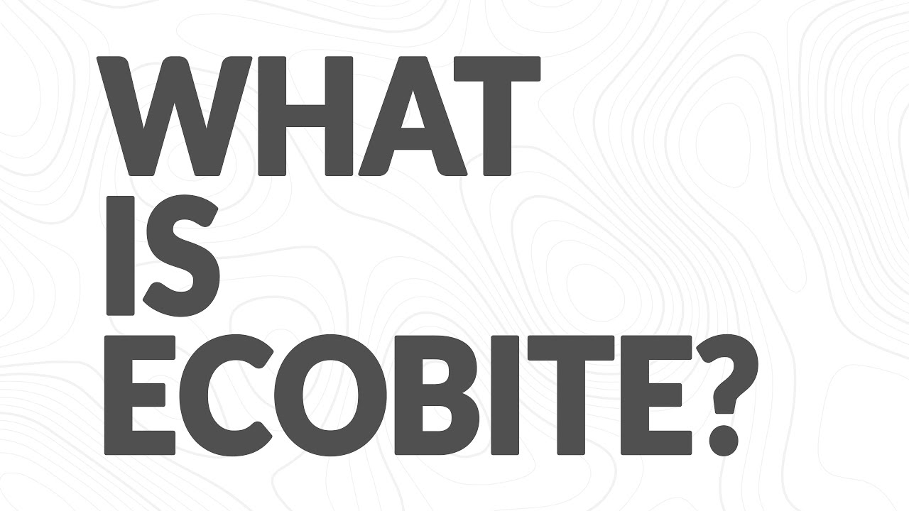 What is Ecobite? - YouTube