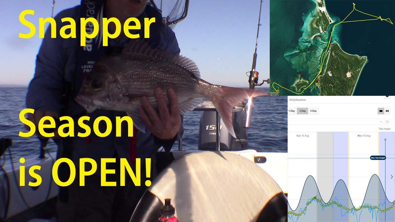 Snapper Season is OPEN! - YouTube