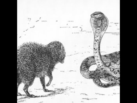 Game Theory Tutorial: Dynamic Games: Solving Dynamic Games with Gambit ...