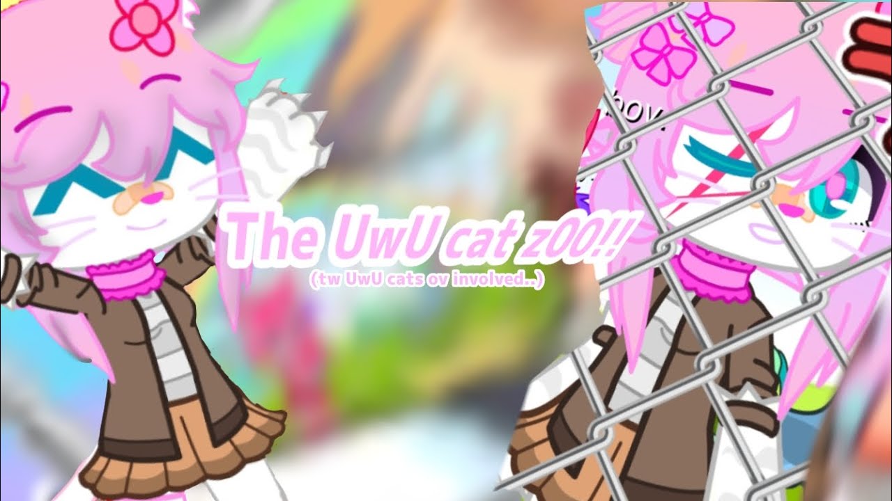 UWU CAT Z00?? (tw uwu cats, and a little blood..) - YouTube
