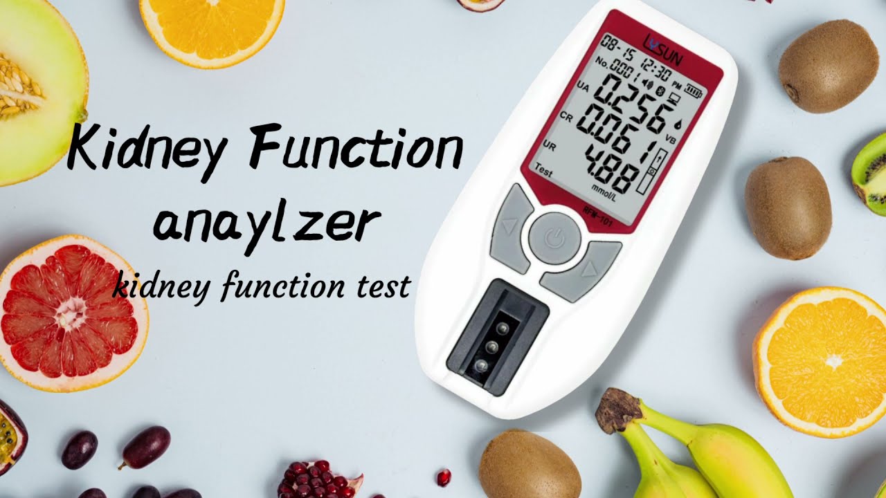 How Can I Check My Kidney Function At Home YouTube How Can I Check My Kidney Function At Home YouTube