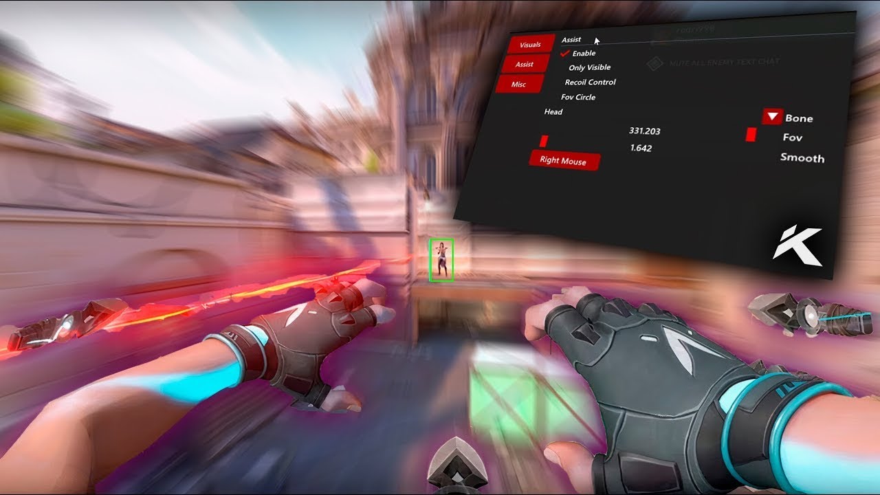 This is Just the BEST Valorant Cheat On The Market Right Now (Showcase) 🎯 - YouTube