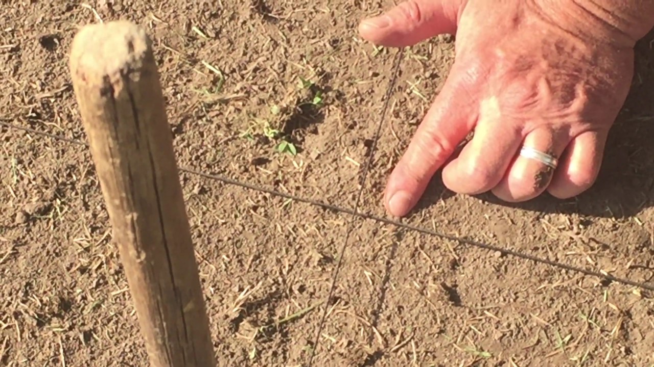 Shadow Stick: Find True North With A String Part ll - YouTube