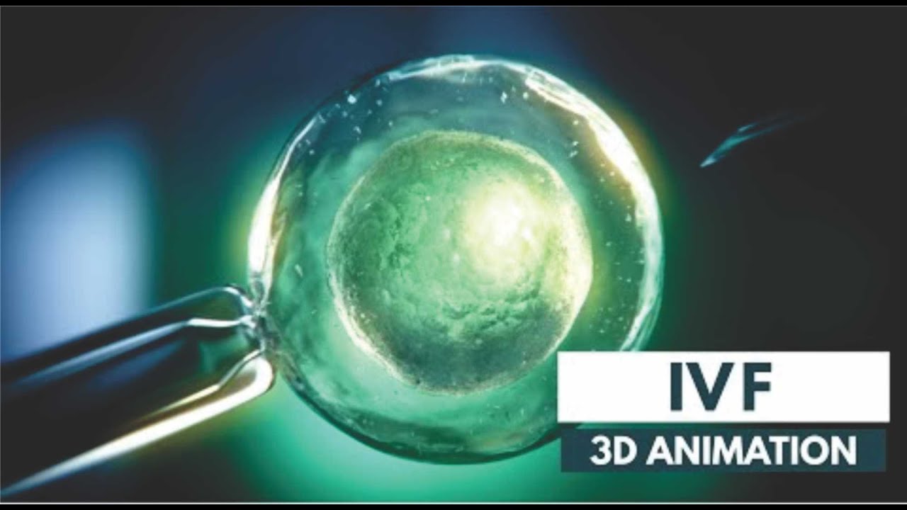 How IVF works 3D Animation - YouTube