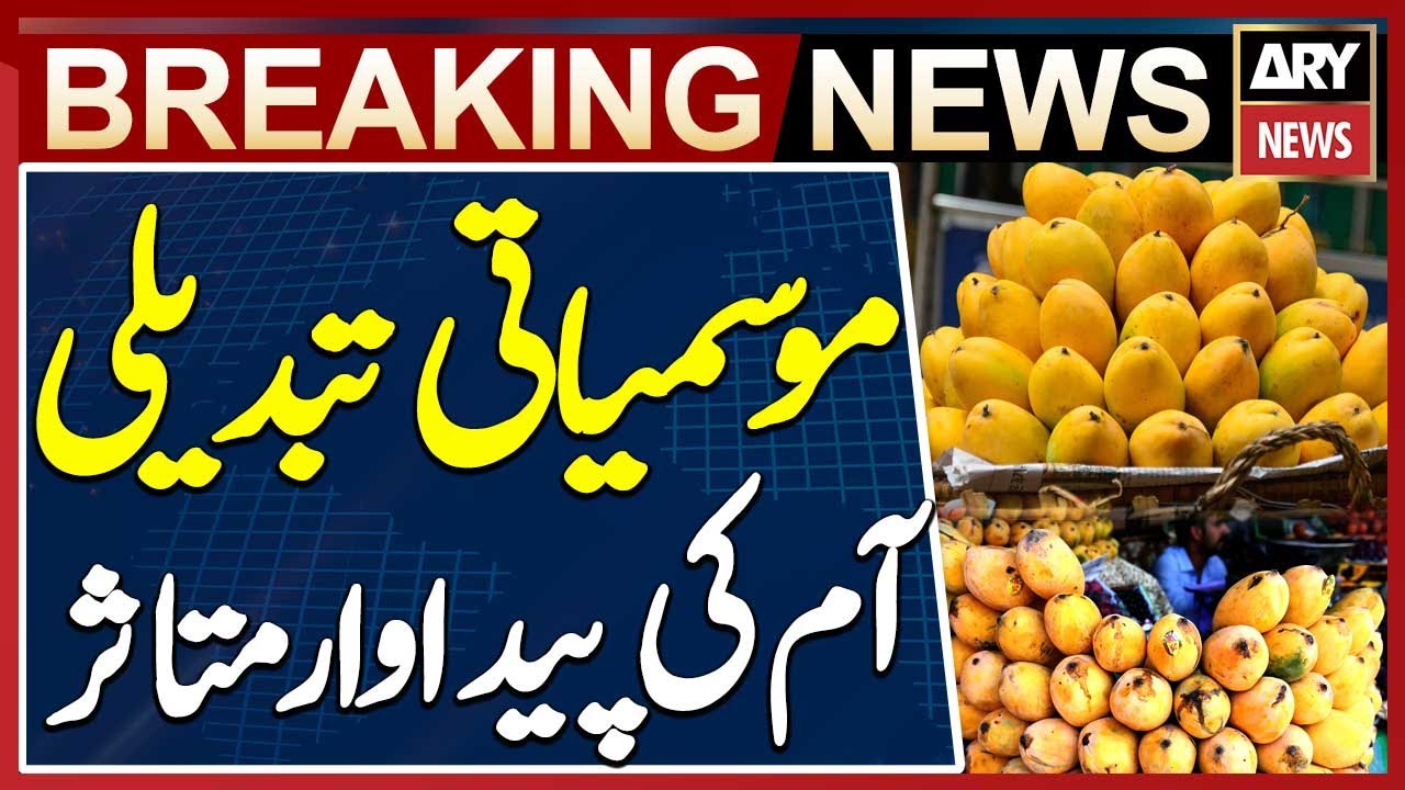 Climate Change Hits Mango Production in Pakistan - YouTube