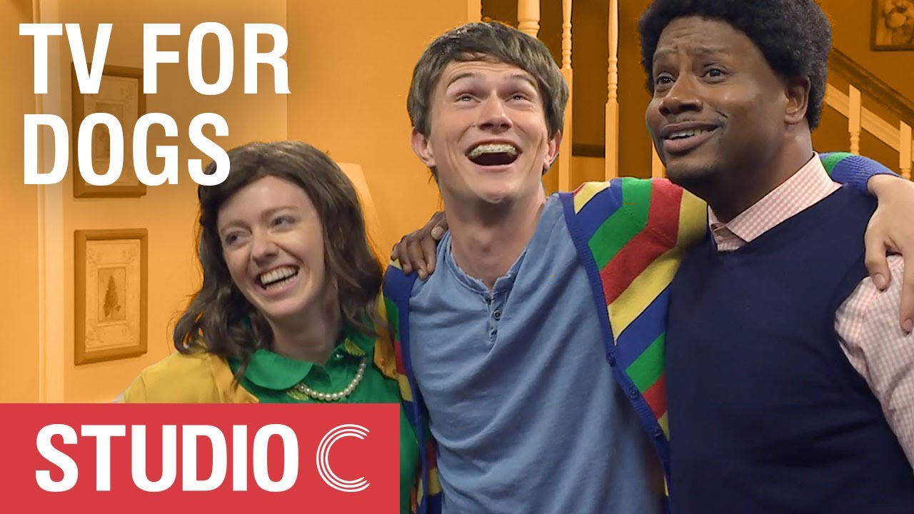 A Sitcom for Dogs! - Studio C - YouTube