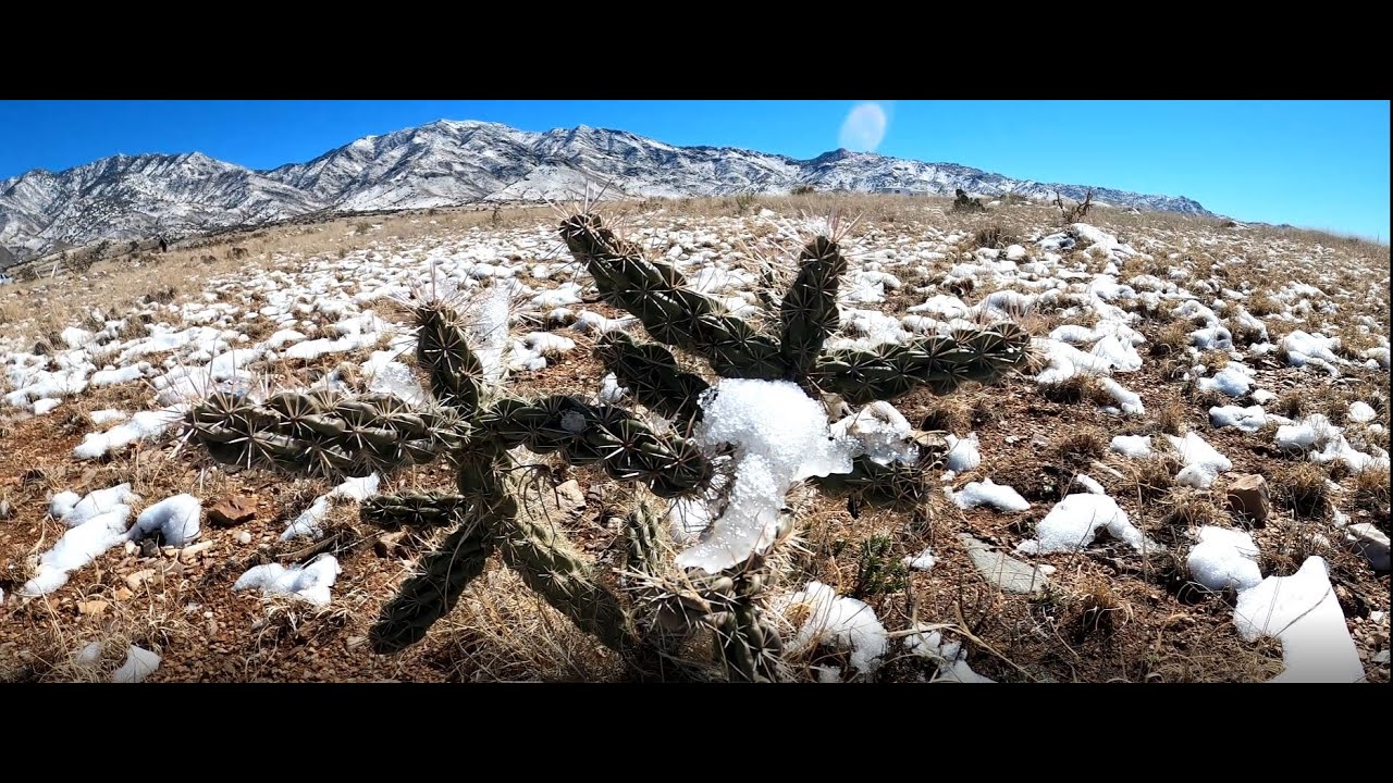 Made some Massive Progress on the Timeless Fence System at Desert ...