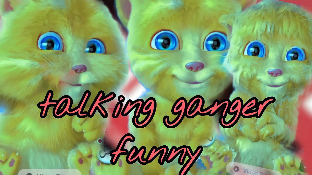 my taking tom || ganger || funny video viralvideo || viral || amazing ...