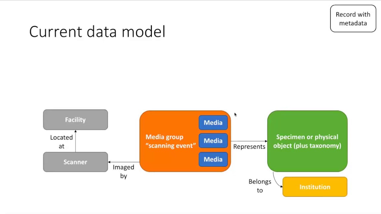 MorphoSource 2.0 Data Model Presentation - YouTube