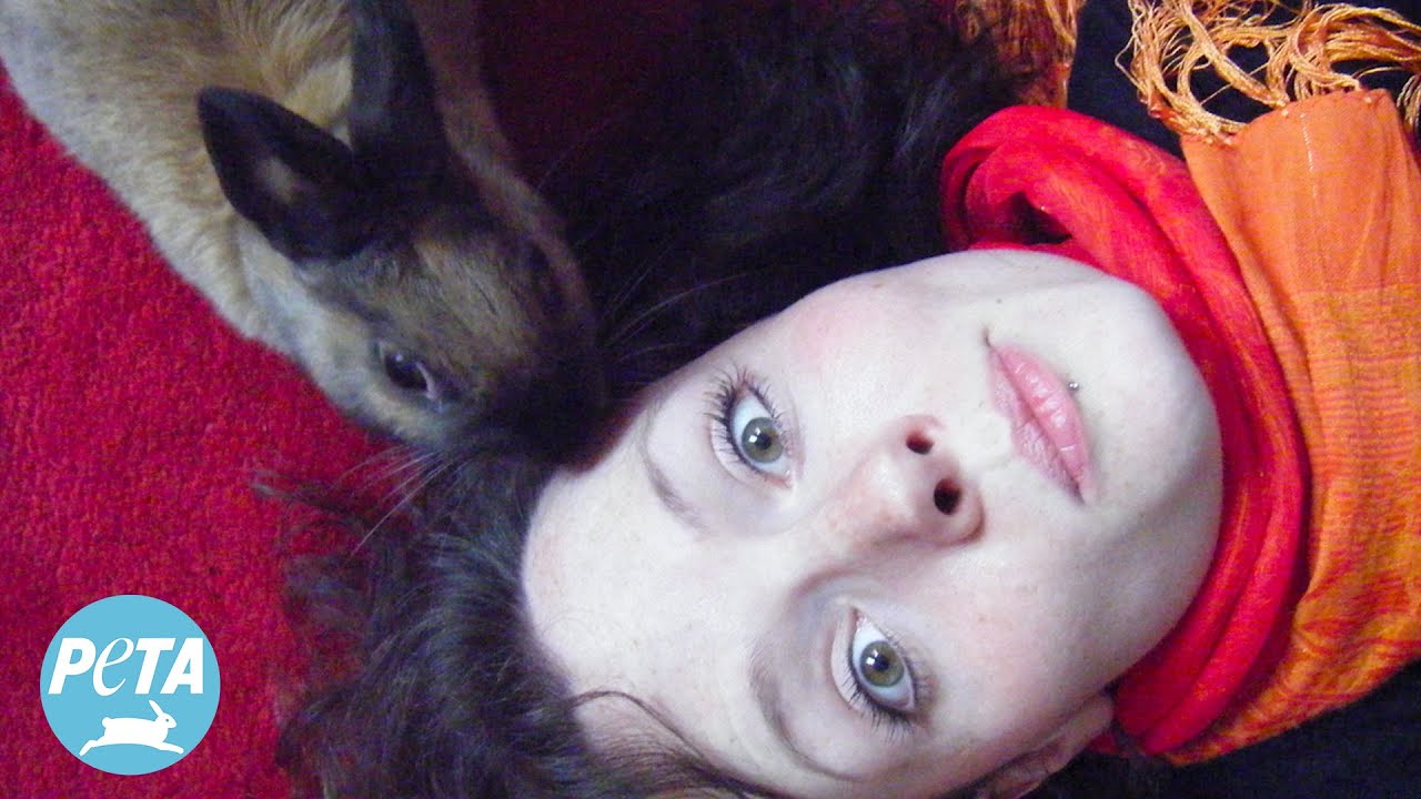 I Used to Pay for Rabbit Abuse Without Knowing: My Journey to Cruelty ...