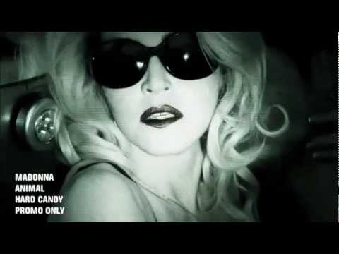 Madonna - Animal [Subtitulado] - YouTube