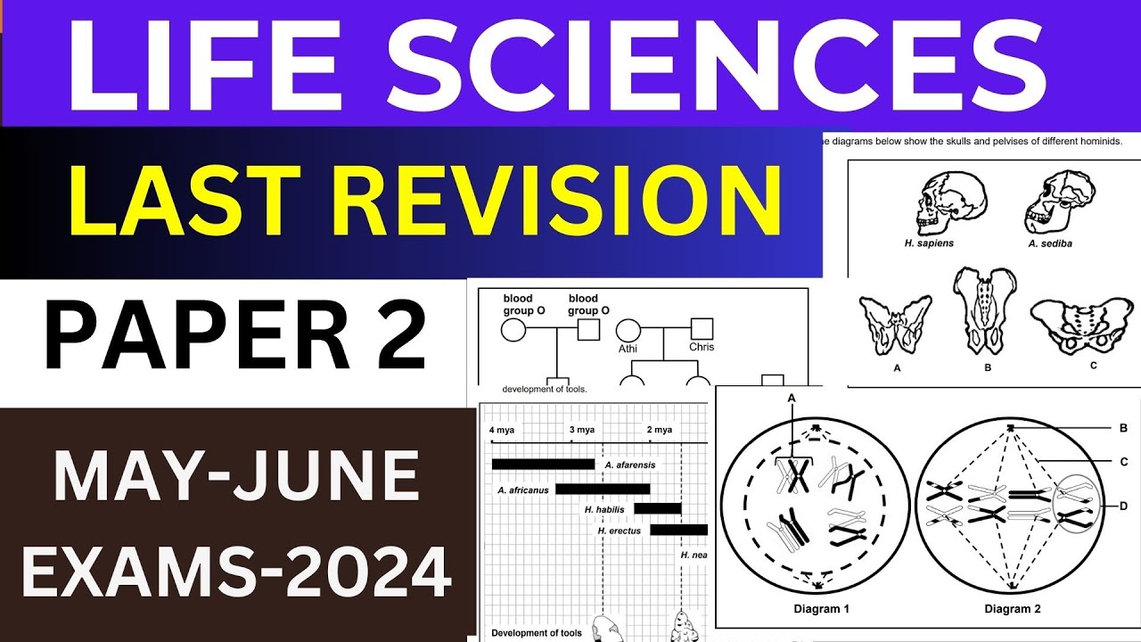 MAY -JUNE -LIFE SCIENCES P.2 FINAL REVISION 2024 GRADE 12 LIFE SCIENCES ...