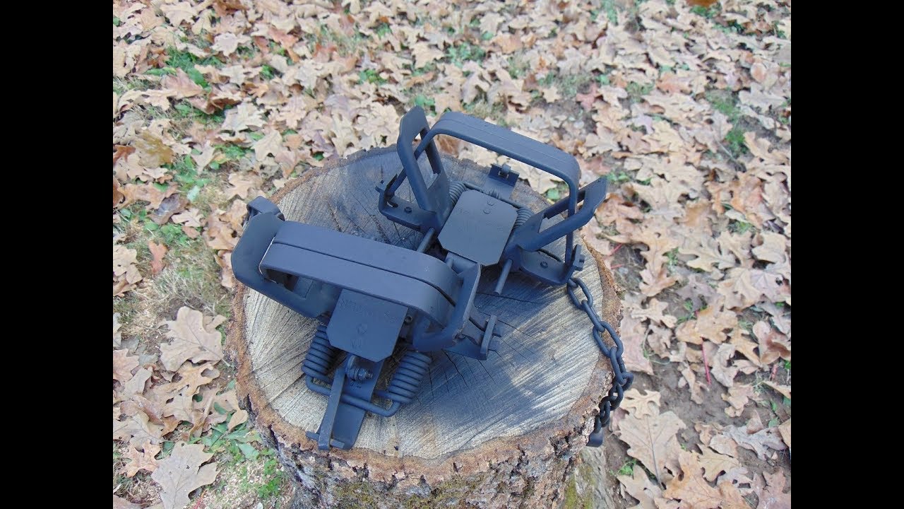 Tutorial~Preparing Traps For Trapping Season - YouTube