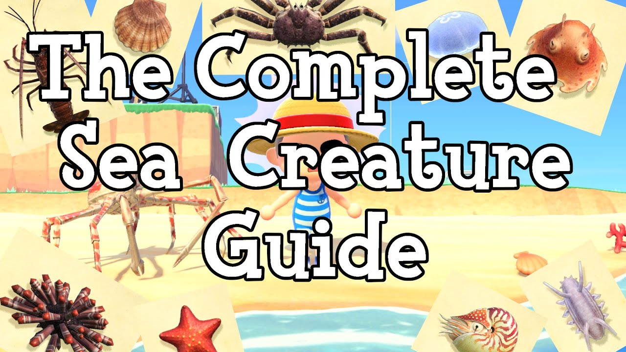 Animal Crossing New Horizons Complete Sea Creature Guide - YouTube