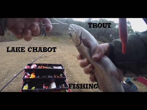 Lake Chabot Trout Fishing January 1st & 2nd - YouTube