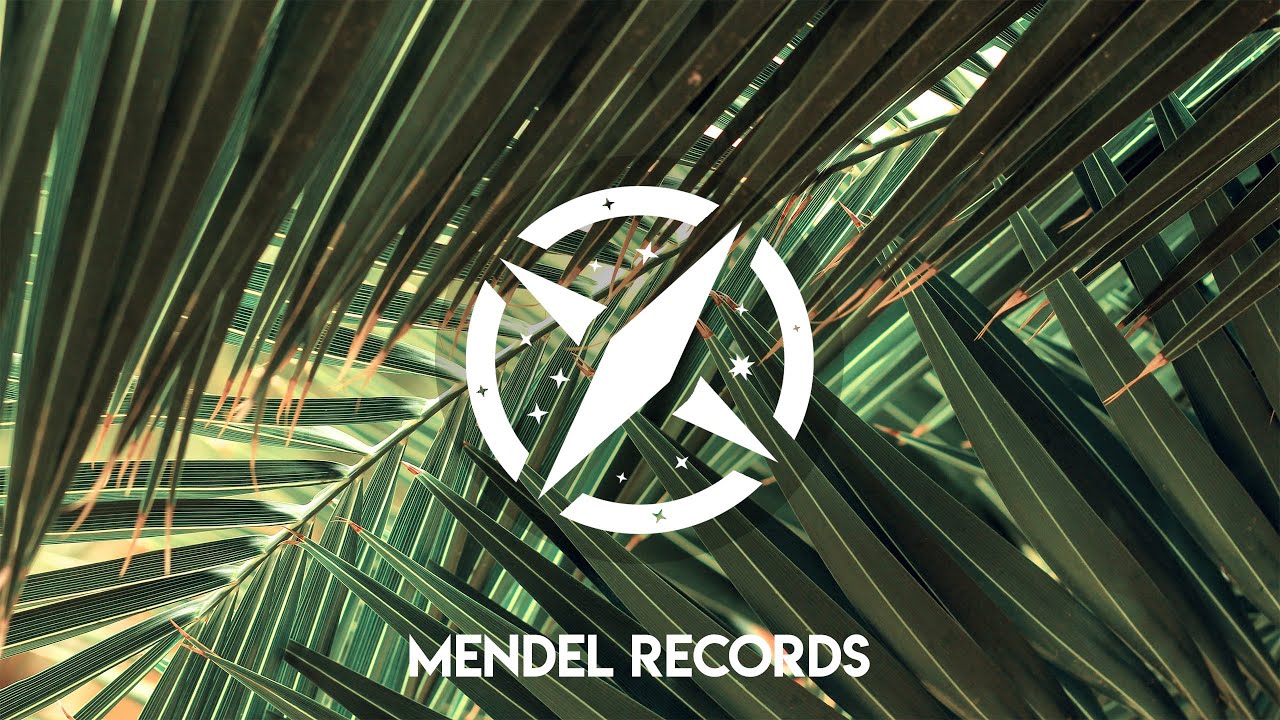 Svniivan - Nothing To Lose [Mendel Music Free Release] - YouTube