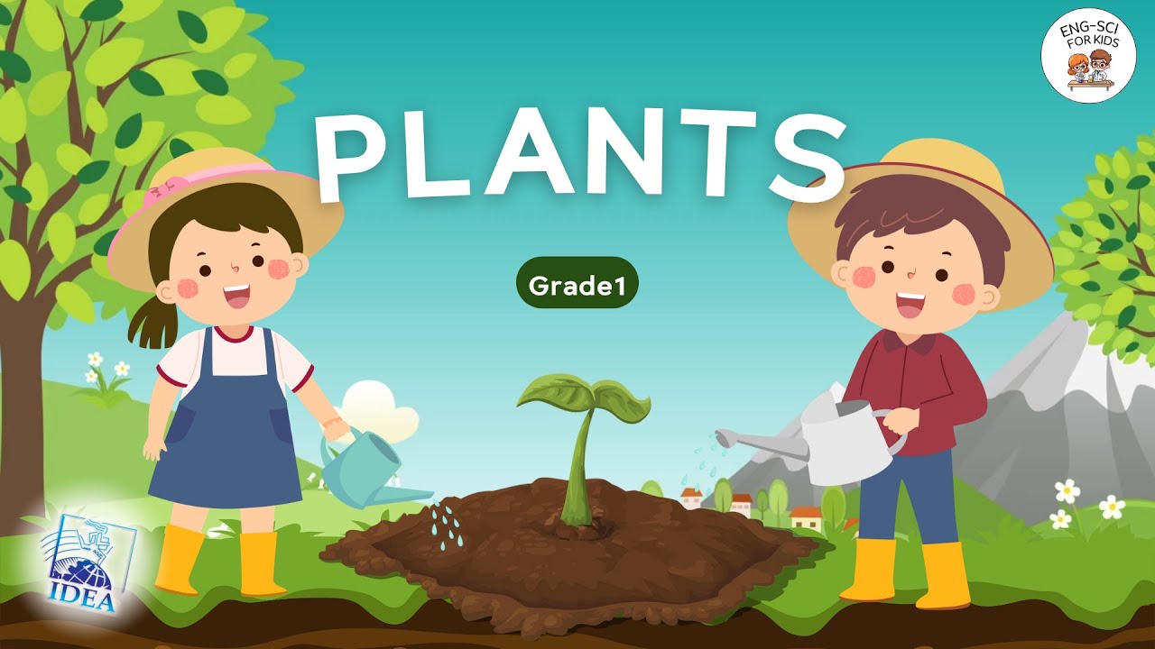 Plants Grade 1 - English Science for kids - YouTube