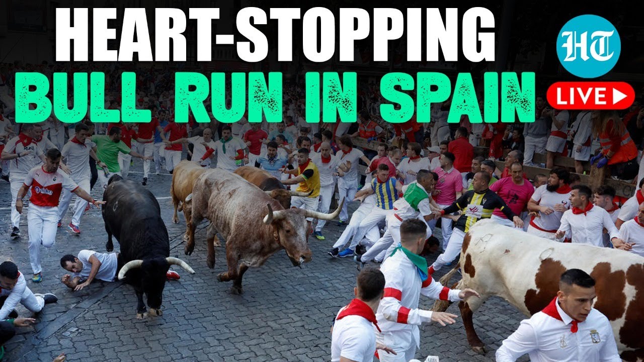 Spain Bull Run Live | Huge Crowds Gather For Thrilling Bull Run ...